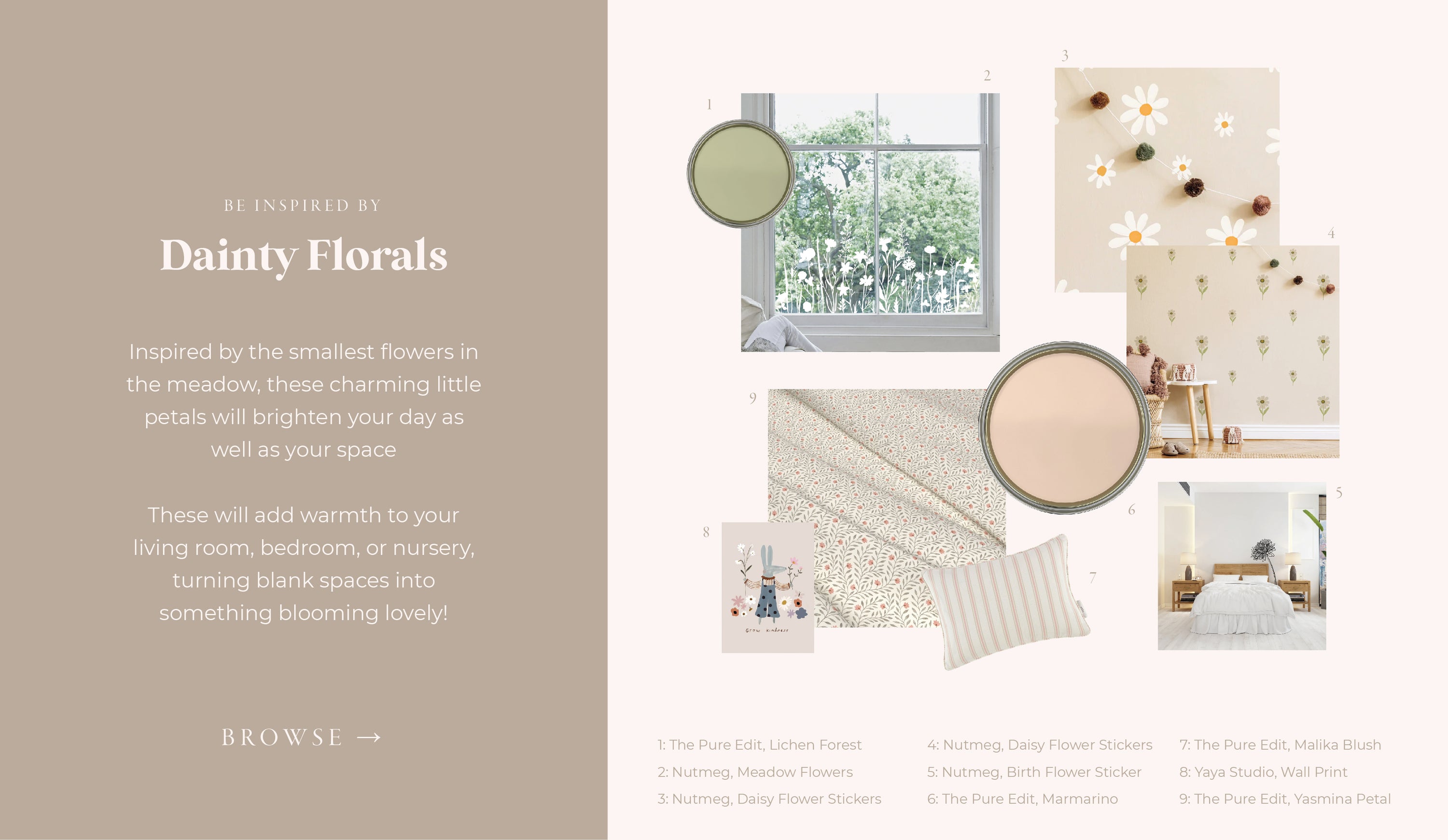 Nutmeg Wall Stickers & Custom Business Graphics | Wall Sticker Decor ...